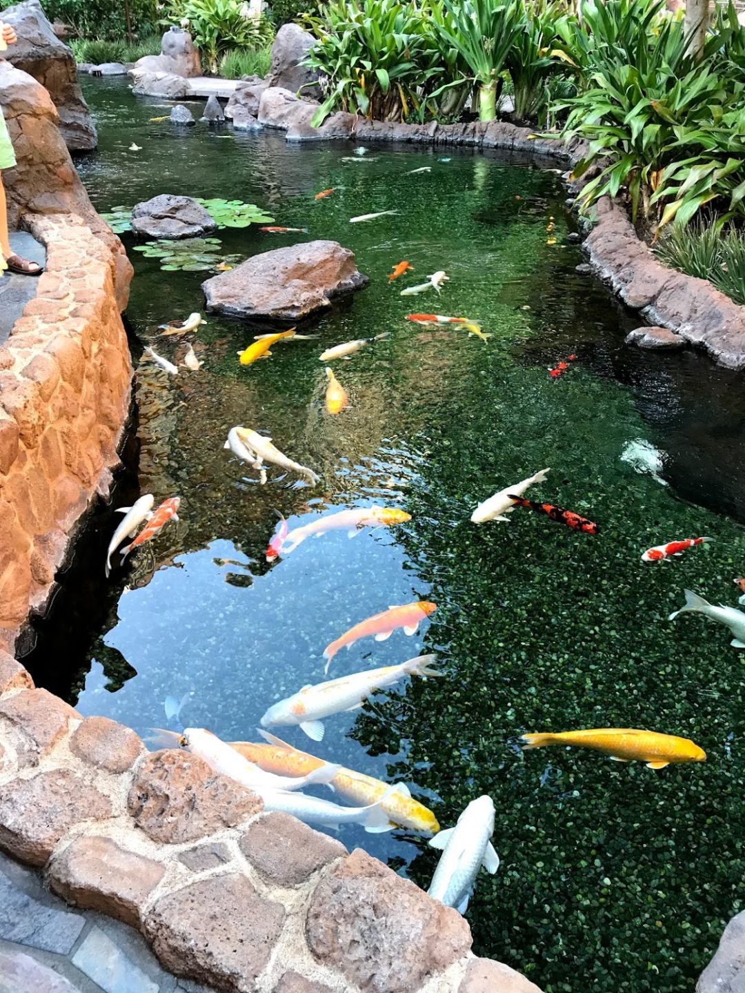 Makahiki | Aloha Aulani